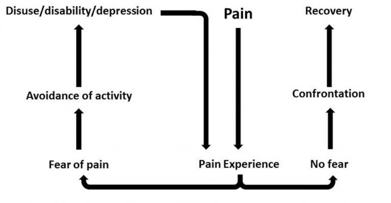 Injury Rehabilitation - Denver Fitness Journal